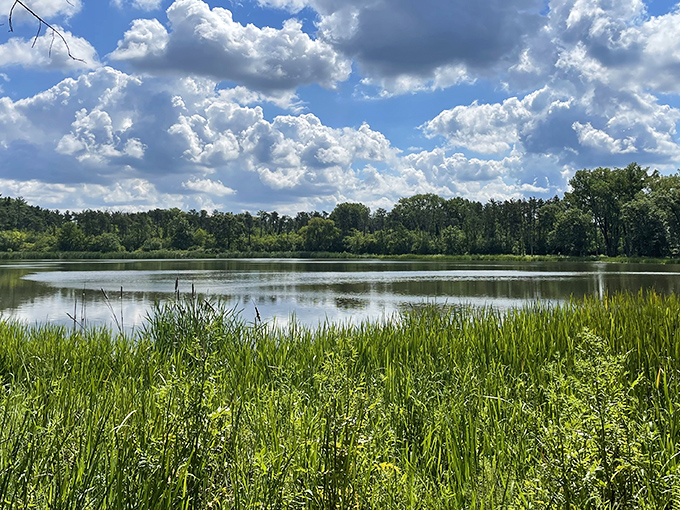 Billowing clouds reflect in Waterfall Glen's serene waters, where Illinois wilderness proves you don't need a passport for tranquility.