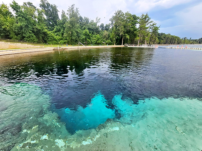 The famous blue hole reveals itself – nature's own infinity pool where the Floridan Aquifer bubbles up its liquid sapphire treasure.