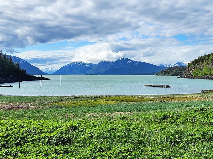 Mother Nature showing off again! The turquoise waters of Chilkat Inlet meet emerald shorelines with snow-capped mountains standing guard in the distance.