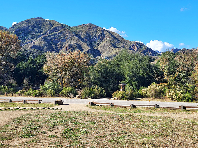1. this gorgeous state park in california is a dream come true for nature lovers