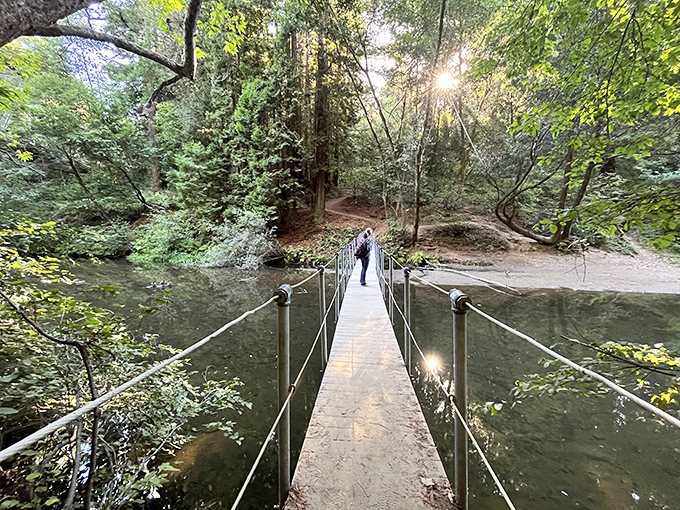 The suspension bridge beckons like a portal to another world. Nature's invitation to cross from everyday life into ancient redwood magic.