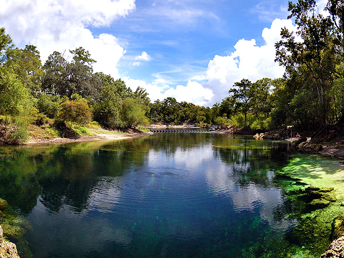 Nature's own swimming pool with water so clear, you'll wonder if someone secretly installed glass. Florida's liquid magic on full display.