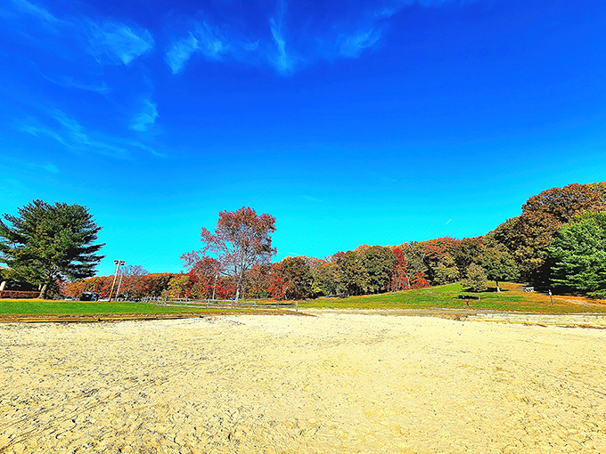 Look at this! Mother Nature showing off her interior decorating skills with that perfect autumn palette.