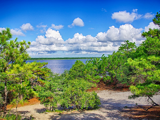 Nature's perfect balancing act. Coastal grasses frame this tranquil beach where you can watch fishermen cast their lines into the gentle tide.