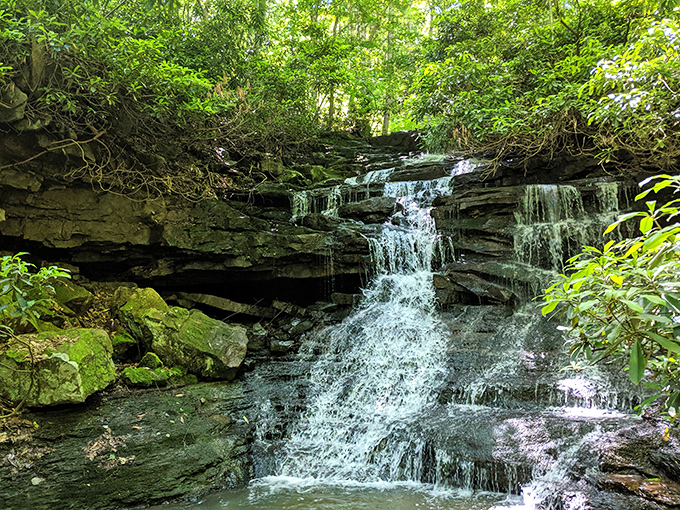 Nature's staircase in action &ndash; this cascading waterfall tucked among lush greenery feels like stumbling upon a secret woodland spa.