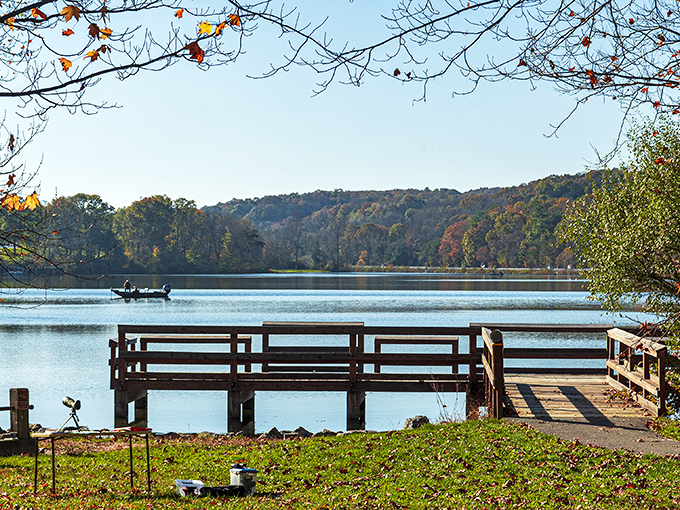 Autumn's masterpiece unfolds at Holman Lake, where a wooden dock invites you to pause and soak in nature's spectacular color show.