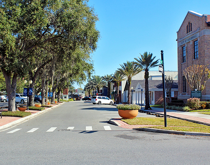 Palm-lined streets and historic brick buildings create Auburndale's postcard-perfect downtown, where Florida sunshine meets small-town charm without the tourist price tag.