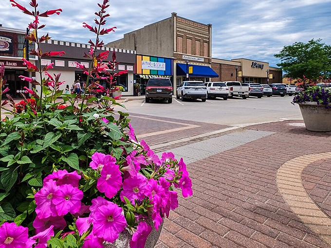 Downtown Carroll blooms with vibrant petunias framing historic storefronts. Small-town charm doesn't get more picture-perfect than brick-paved streets where flowers outshine the parking meters.