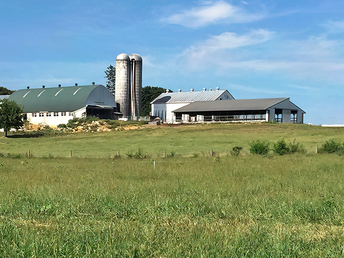 White barns and silver silos rest peacefully against rolling green fields, a timeless slice of Pennsylvania farm life under a wide, open sky.