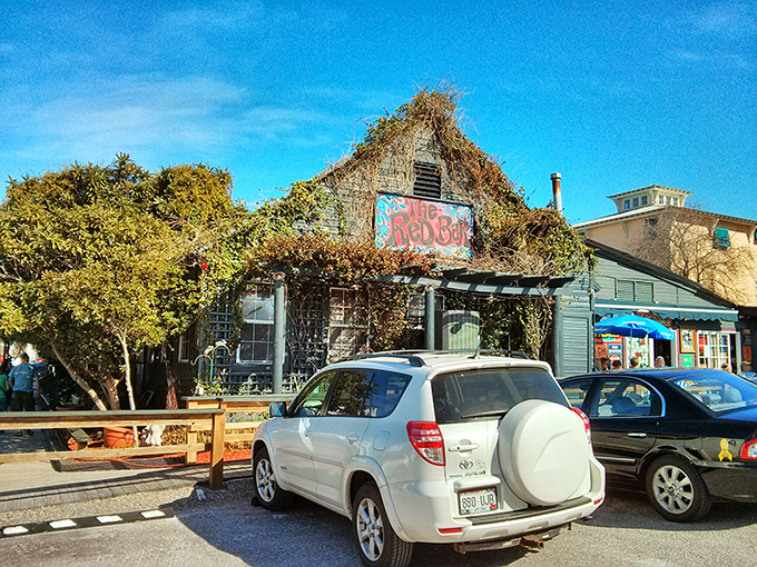 Mother Nature's slowly reclaiming this beloved landmark, with vines creeping up the weathered wood facade—nature's stamp of approval on a Florida institution.