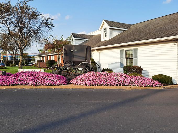 The classic Amish buggy amid vibrant pink flowers welcomes visitors to Das Dutch Haus, a charming first impression that promises authentic traditions inside.