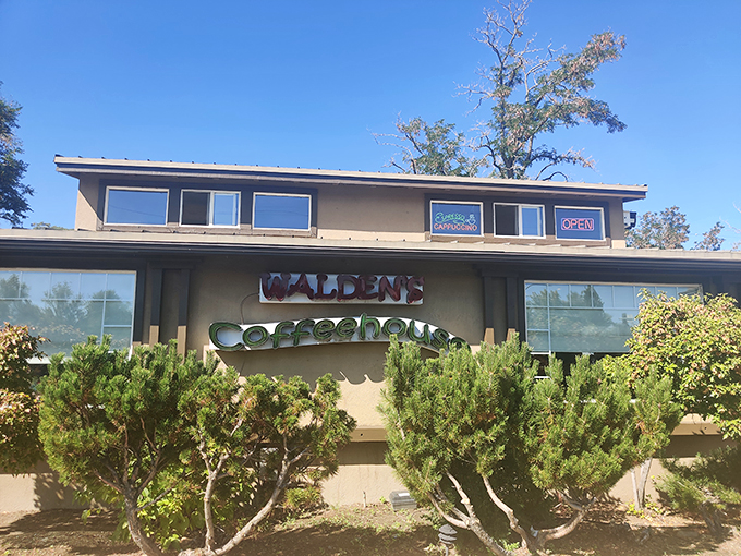 The unassuming exterior of Walden's Coffeehouse stands like a breakfast beacon on Mayberry Drive, promising caffeinated salvation and morning delights to all who enter.