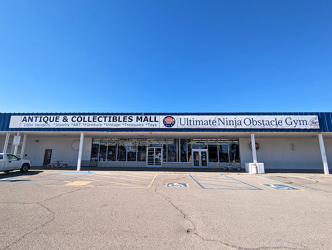 The sign promises "Antique & Collectibles" but delivers an entire universe of nostalgia. Spoiler alert: you'll need more trunk space than you think.