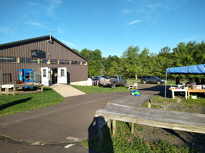 A rustic barn that houses more stories than a library. This unassuming structure is where countless Pennsylvania families have started their Tuesday morning ritual.