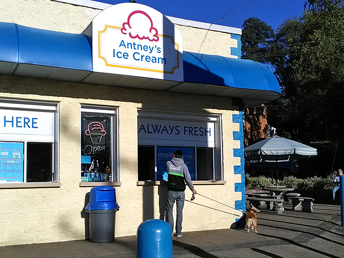 The sunshine-yellow facade of Antney's isn't just cheerful&mdash;it's a beacon of hope for ice cream lovers seeking authenticity in a world of frozen mediocrity.