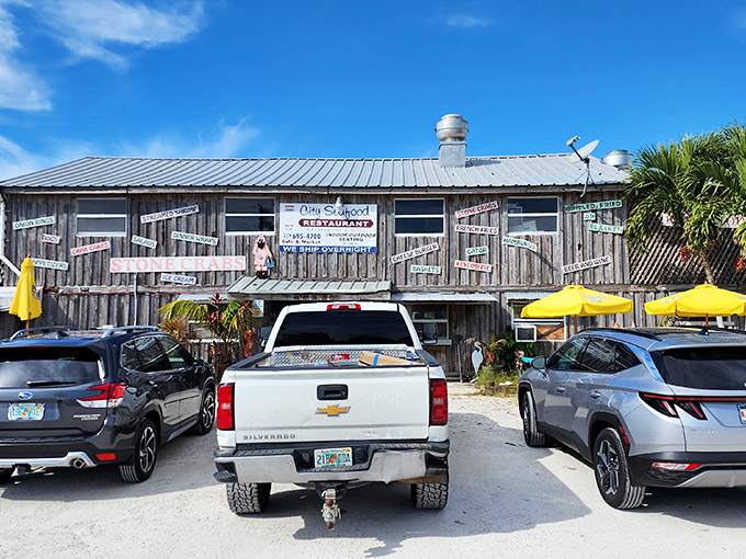 The weathered wooden exterior of City Seafood screams "authentic Florida" louder than a hungry pelican at feeding time. No pretense, just promise.