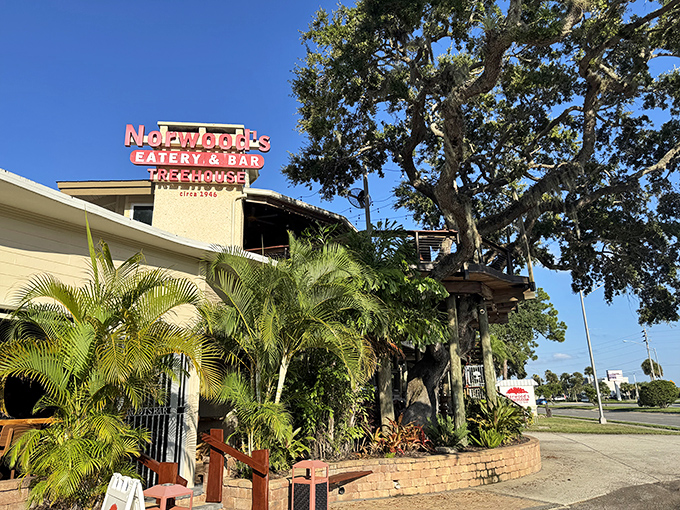 Tropical paradise meets culinary destination – palm trees stand guard while that iconic sign promises seafood adventures ahead.