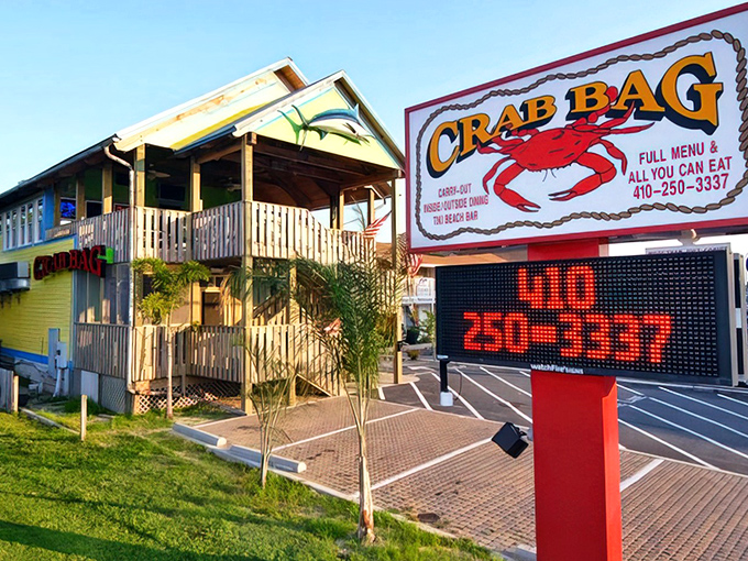 Look at this place &ndash; it's like finding a seafood treasure chest disguised as your favorite neighborhood hangout.