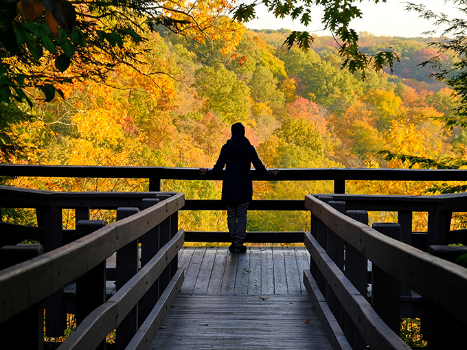 Nature's front-row seat: The wooden observation deck frames autumn's grand performance like Mother Nature's own Broadway stage.