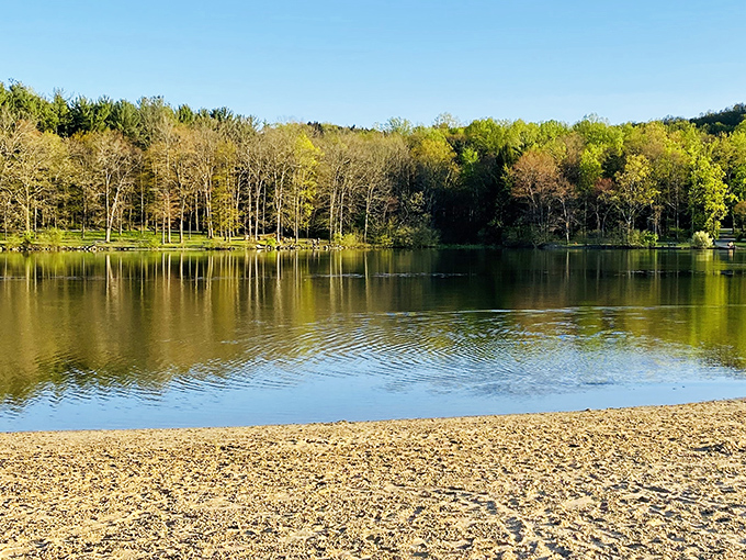 Morning tranquility at its finest. Keystone Park Beach offers that rare combination of pristine shoreline and crystal-clear water that makes you forget you're in Pennsylvania.