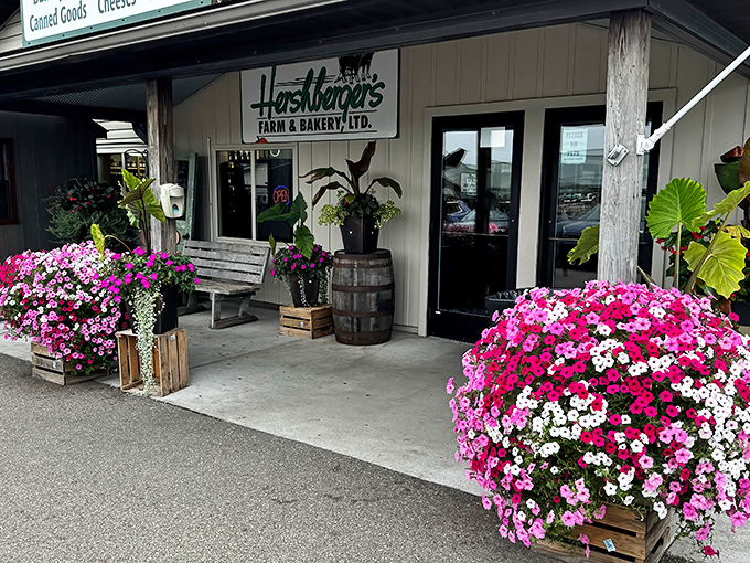 The unassuming exterior of Hershberger's Farm and Bakery hides a wonderland of flavor within. Like finding Narnia in rural Ohio, but with better snacks.