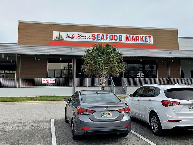 The unassuming exterior of Safe Harbor Seafood Market promises no frills, just thrills for your taste buds. That lone palm tree is Florida's subtle way of saying "seafood paradise ahead."