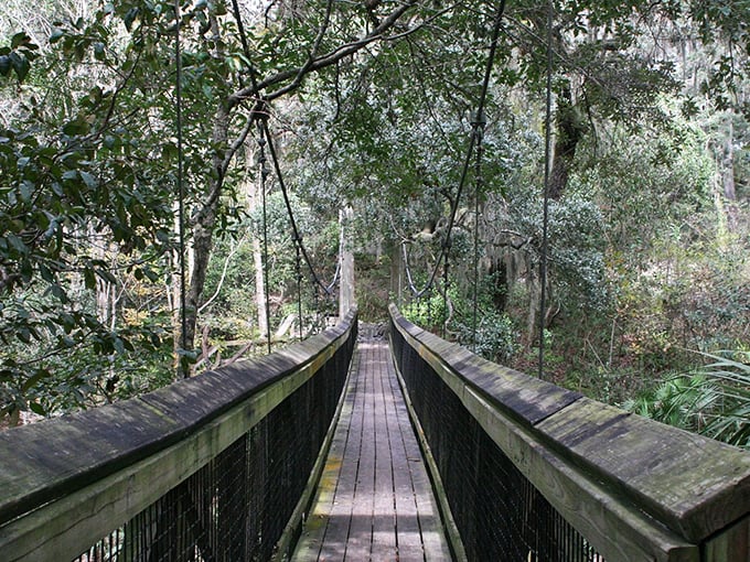 The suspension bridge beckons you into a world of green mystery, where every step forward feels like entering a secret garden that Florida has been hiding from the rest of us.