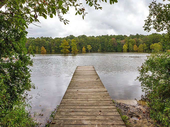Where land meets water&mdash;a simple wooden dock stretches into the tranquil pond, promising quiet moments of reflection among autumn-kissed trees.