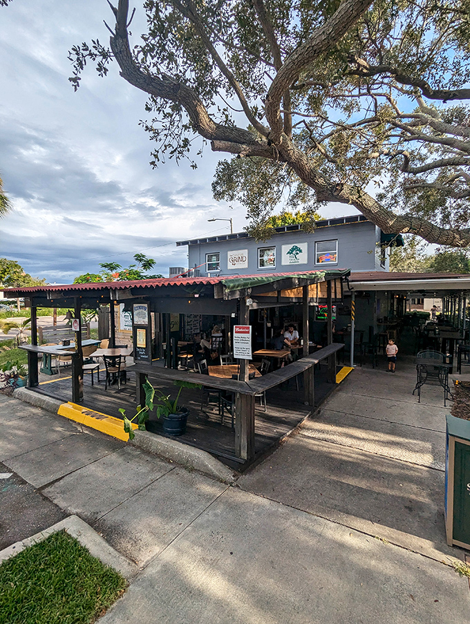 Sheltered by an ancient oak, The Tavern at Bayboro's unassuming exterior hides Florida's seafood paradise, where grouper legends are born daily.