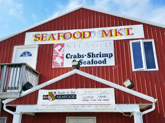 Look closely at that sign and you'll see the promise of Maryland's finest aquatic delights. It's like a treasure map where X marks the spot for your next seafood feast.