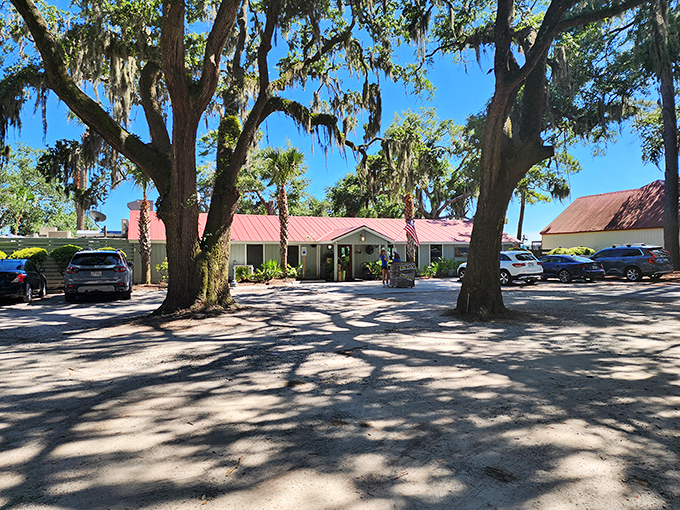 Spanish moss drapes over ancient oaks, creating nature's perfect entrance to this coastal treasure. Fishcamp's unassuming exterior promises authentic Lowcountry dining without the fuss.
