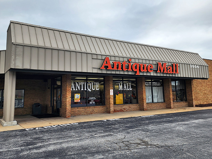 The unassuming exterior hides a universe of treasures within, like finding out your quiet neighbor collects vintage motorcycles and Fabergé eggs.