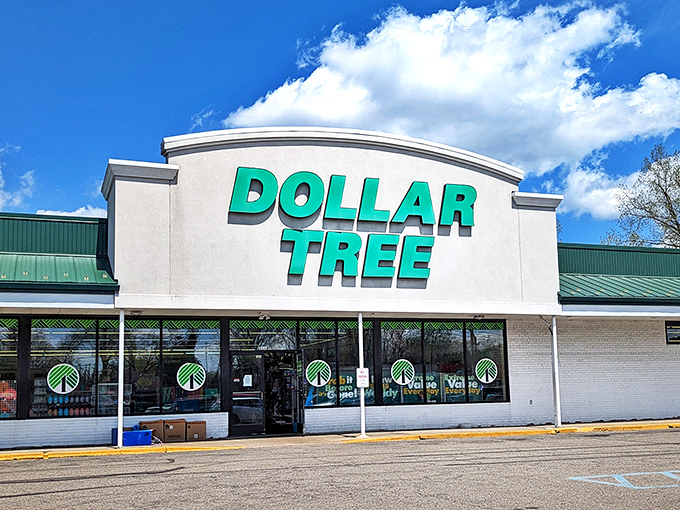 Another Dollar Tree location sporting the familiar green logo, where Michigan shoppers find refuge from inflation under bright blue skies.