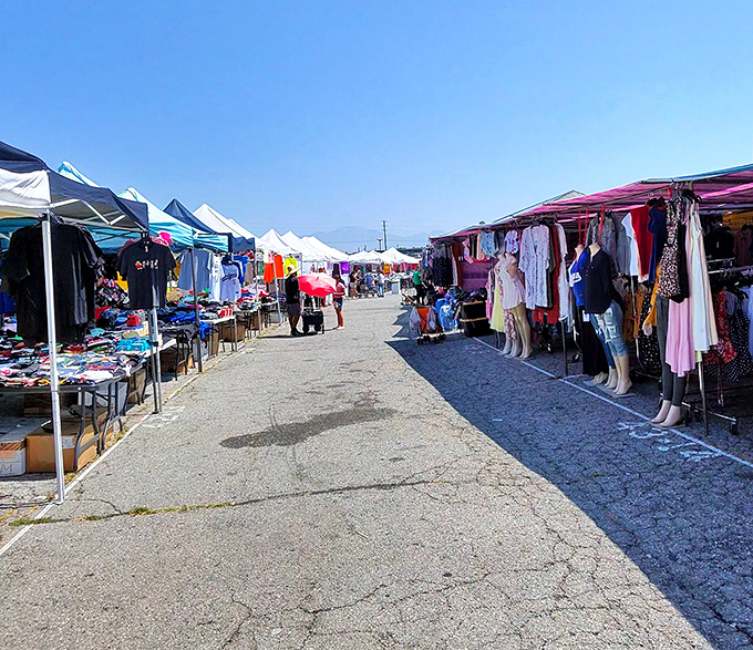 Fashion finds await between colorful tents where savvy shoppers hunt for deals. One person's castoff is another's runway-ready discovery.
