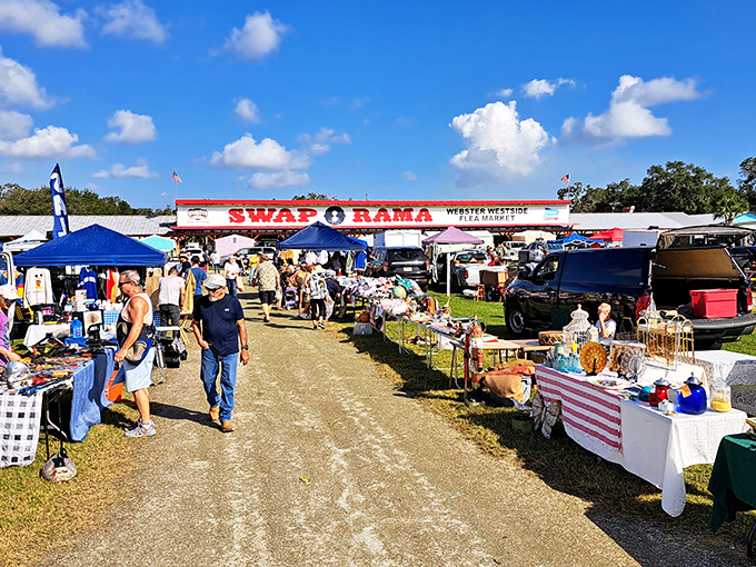 Sunshine, bargains, and endless treasures&mdash;Webster&rsquo;s Swap-O-Rama turns an ordinary Sunday into a treasure hunt under the blue Florida sky.