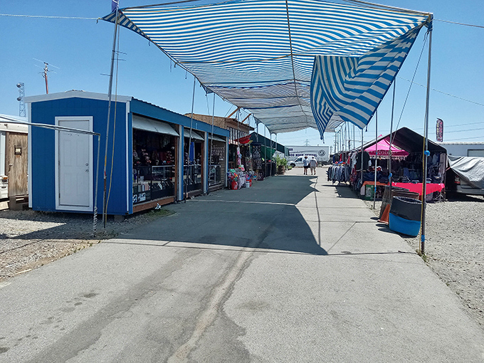 Blue skies and blue-striped awnings create the perfect backdrop for treasure hunting at Pasco's weekend wonderland of bargains.