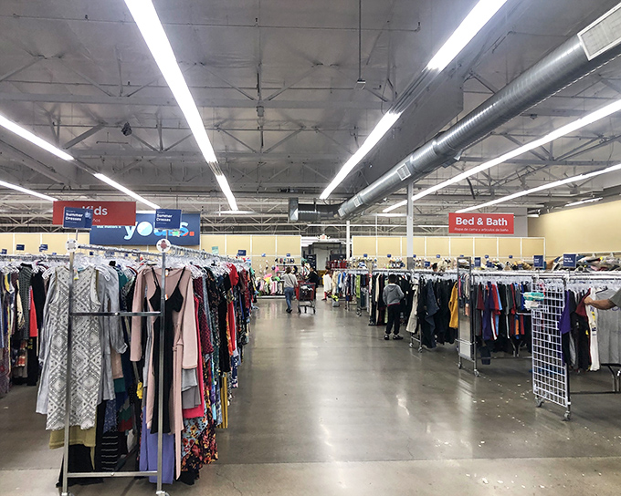 Inside Savers in Dublin, endless aisles of secondhand treasures await shoppers who know that patience often leads to the best finds.