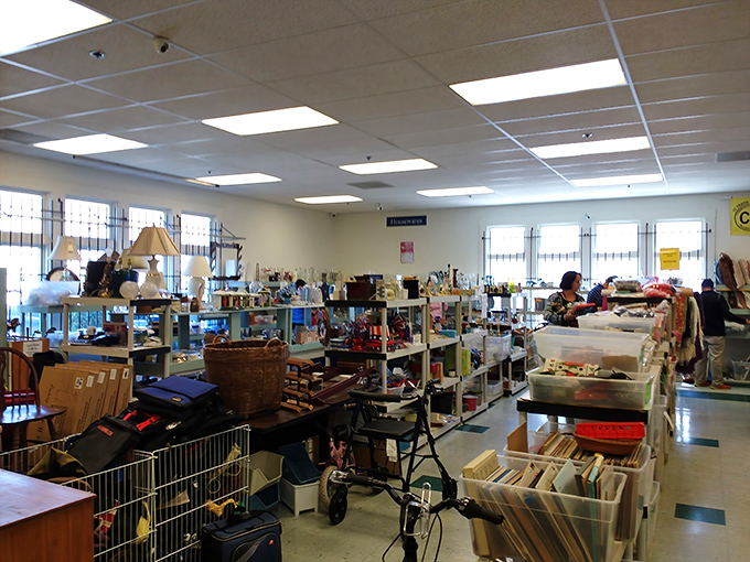 Inside this Napa Valley wonderland, everyday objects become archaeological discoveries. Who knew shopping carts could be time machines?