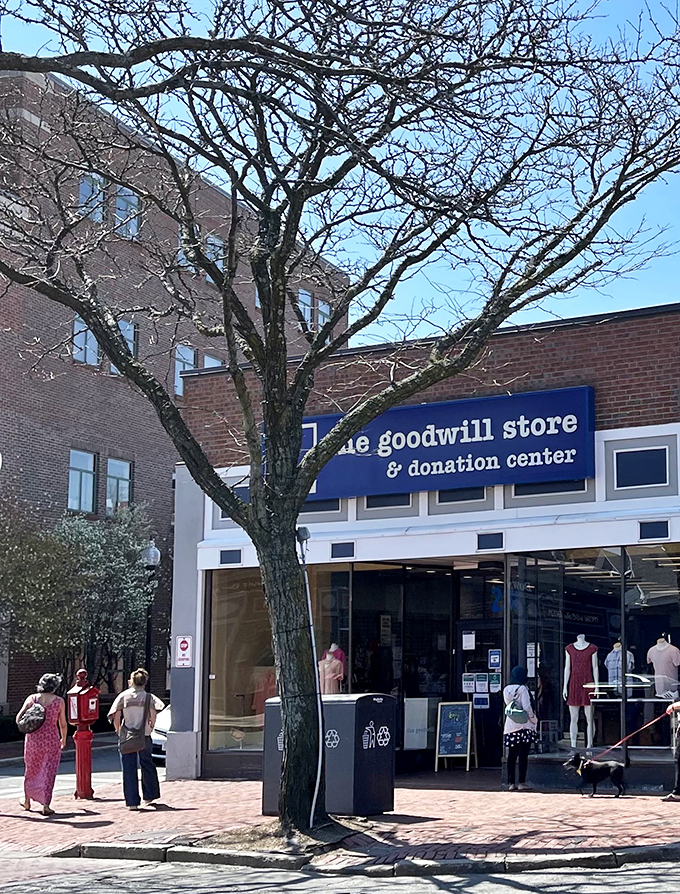 The iconic blue sign of Somerville's Goodwill Store beckons treasure hunters beneath a canopy of bare branches, promising adventures in secondhand shopping.