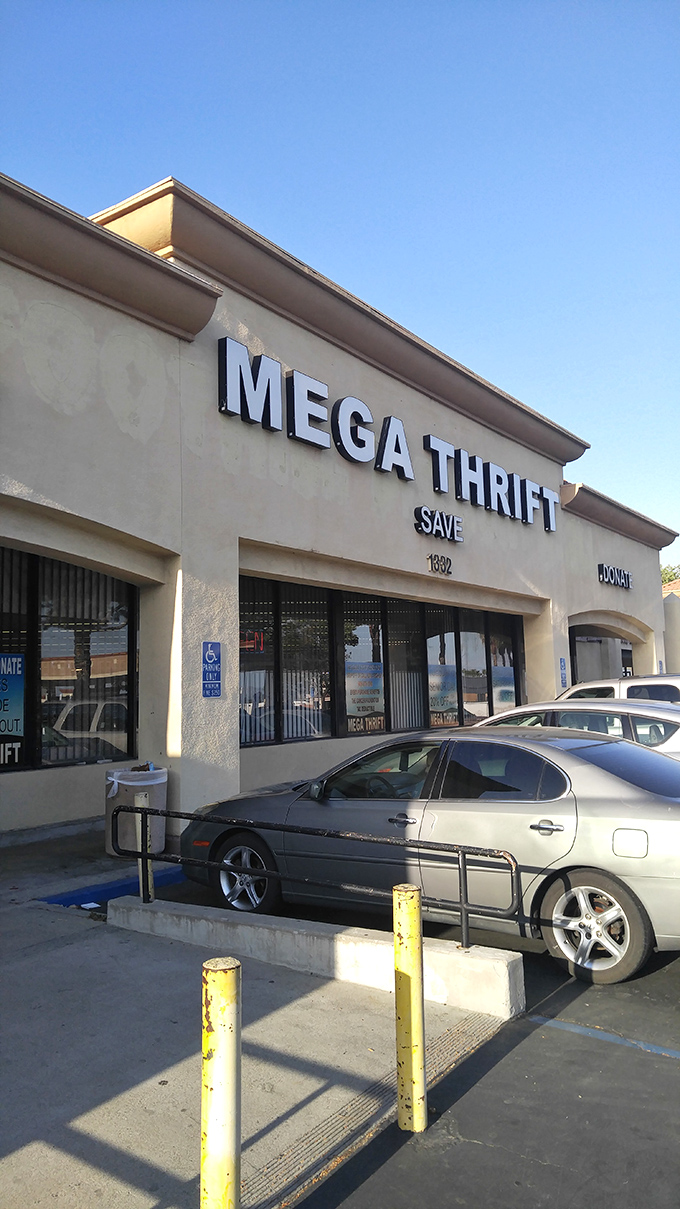 The unassuming beige exterior of Mega Thrift belies the wonderland within &ndash; like finding a portal to treasure hunting heaven in a strip mall.