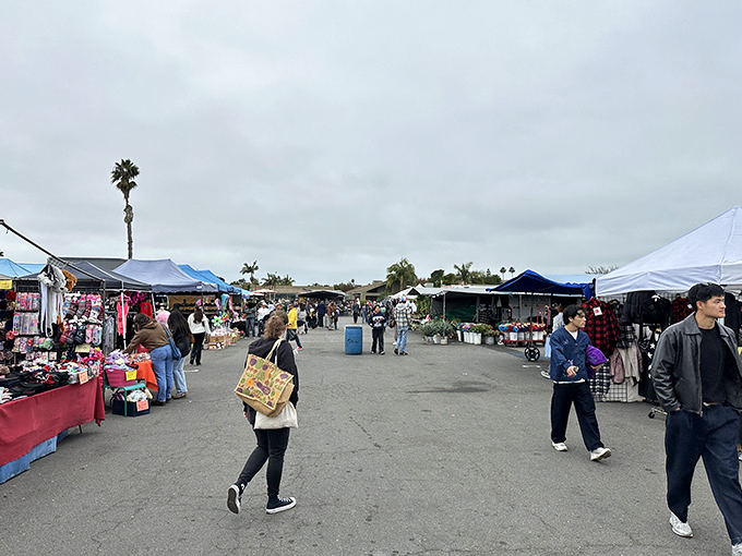 Under cloudy skies, bargain hunters navigate rows of possibilities where every tent holds potential gold.