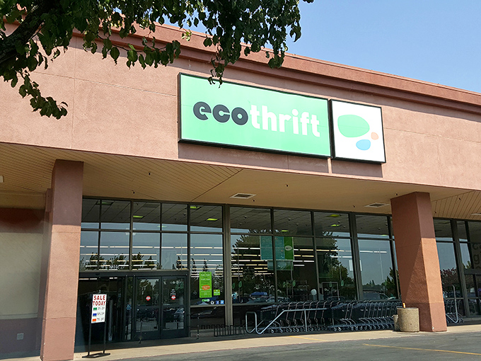 The bright green Eco Thrift sign beckons like a siren call to bargain hunters &ndash; promising treasures inside that big-box exterior.