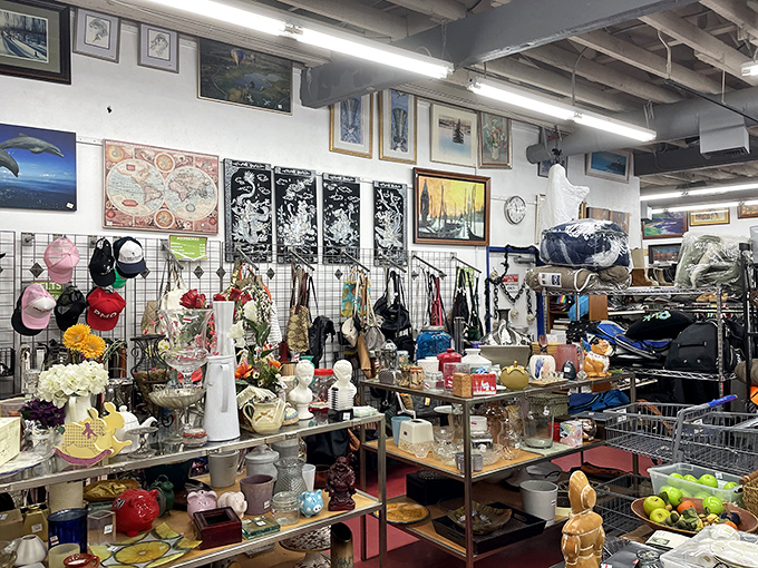 Treasure hunter's paradise! The Council Shop's home goods section offers everything from vintage ceramics to quirky collectibles that tell stories of decades past.