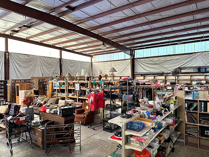 Where one person's past becomes another's future. The warehouse-sized space transforms ordinary secondhand shopping into an extraordinary adventure for dedicated bargain hunters.