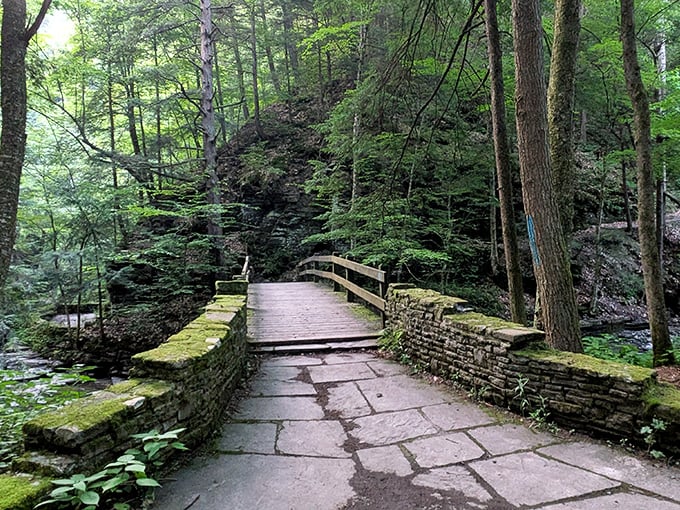 The gorge trail at Fillmore Glen reveals nature's architecture &ndash; layered shale walls rising like ancient skyscrapers while a gentle stream carves its patient path below.
