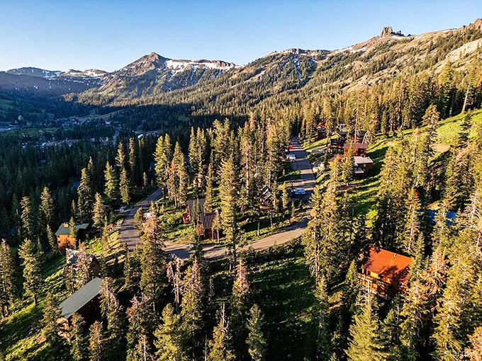 Where forested slopes meet rugged Sierra peaks, this hidden mountain town feels like California’s best-kept secret — the kind of view that makes you forget to check your phone.