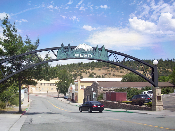The iconic Weed arch welcomes visitors with a wink and a nod. Mount Shasta looms in the background, promising adventures that don't require a trust fund.