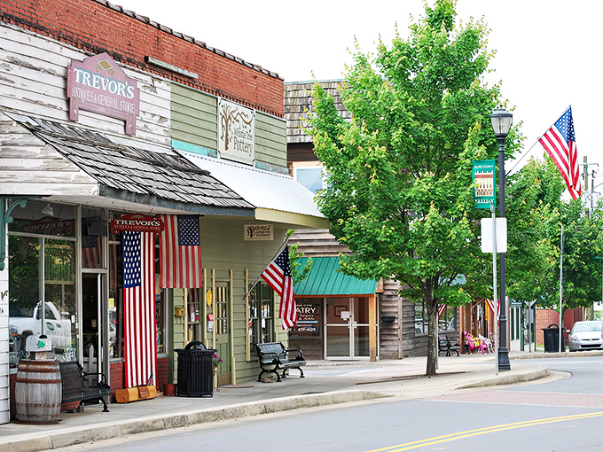 Main Street Ellijay looks like it was plucked straight from a Hallmark movie set, complete with American flags that outnumber the parking meters.