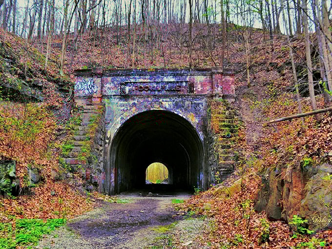 Nature's perfect frame: The weathered brick archway of Moonville Tunnel stands like a portal between worlds, autumn leaves creating a seasonal welcome mat for brave explorers.