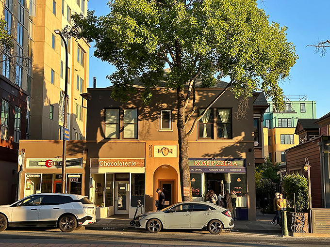 Bathed in golden afternoon light, Rose Pizzeria welcomes you with its cozy charm and the promise of something delicious inside.